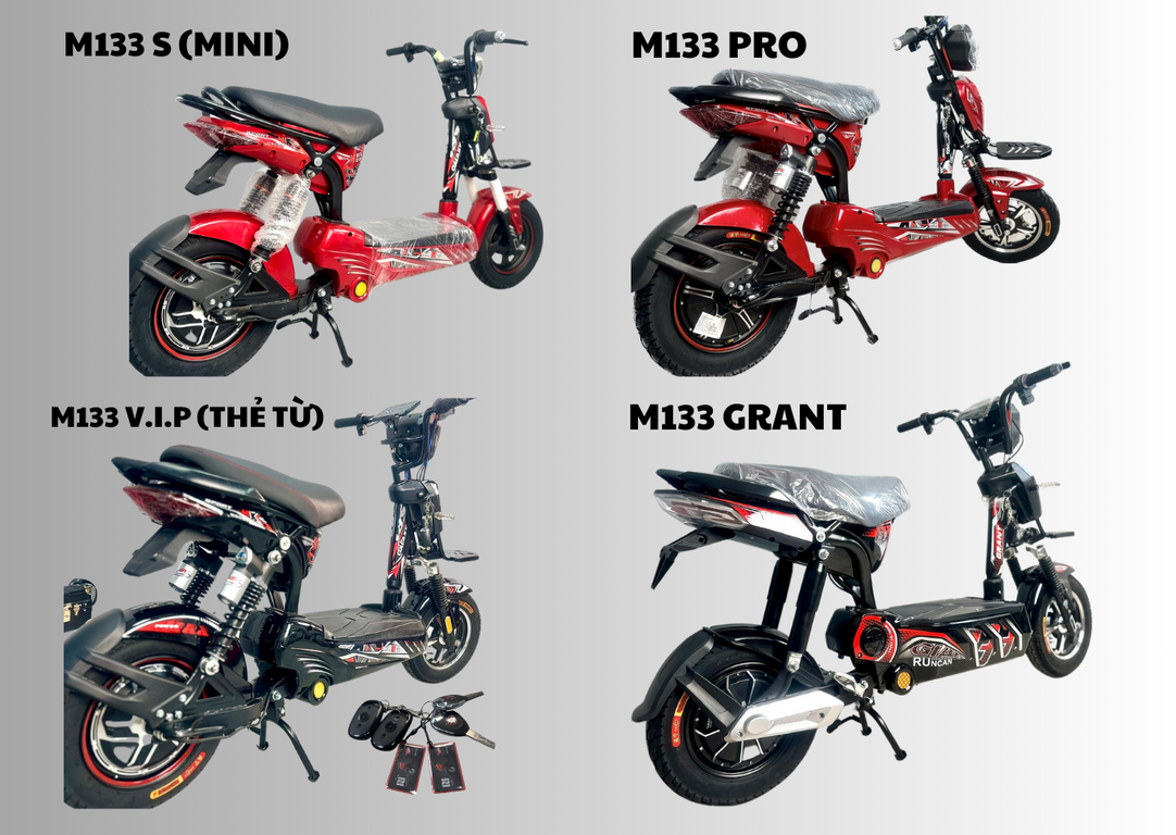 Xe Điện M133 Có Bao Nhiêu Phiên Bản - Xe Đạp Điện Giá Rẻ Bình Dương